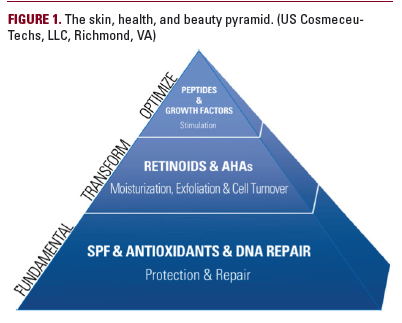 The Skin Health and Beauty Pyramid: A Clinically Based Guide to ...