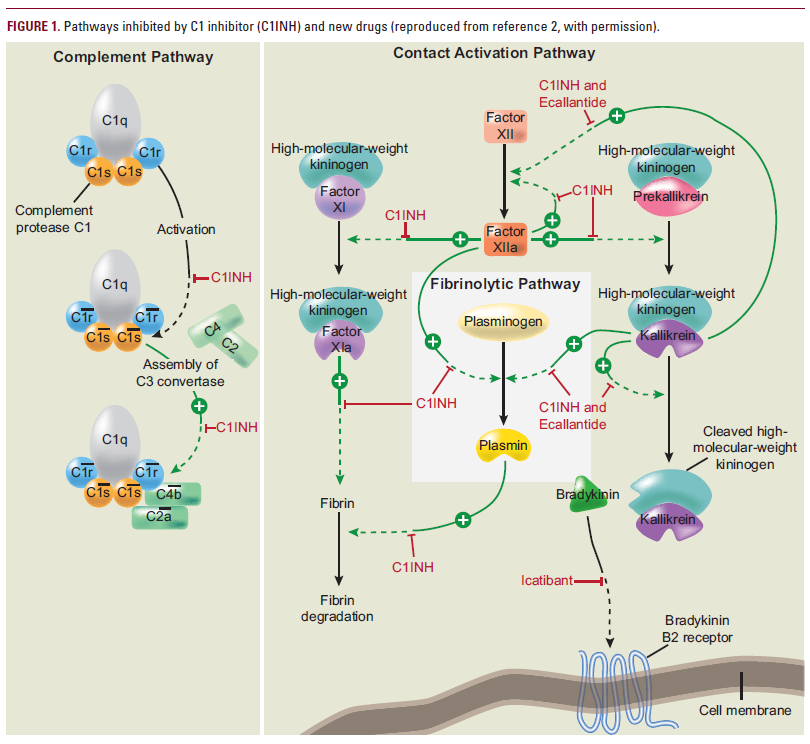 Angioedema Due To Acquired C1-Inhibitor Deficiency British, 54% OFF