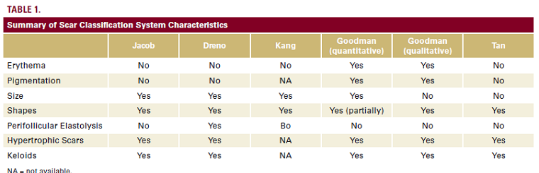 New Atrophic Acne Scar Classification: Reliability of Assessments Based ...